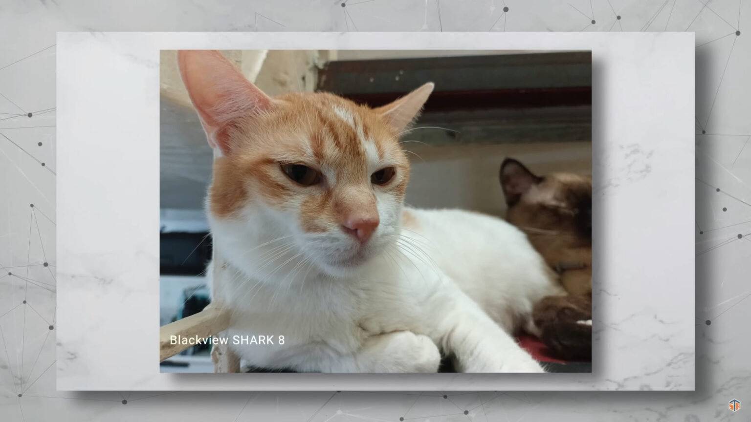 Ang TOP 10 Entry Level Phones ng 2024! - Sulit Tech Reviews